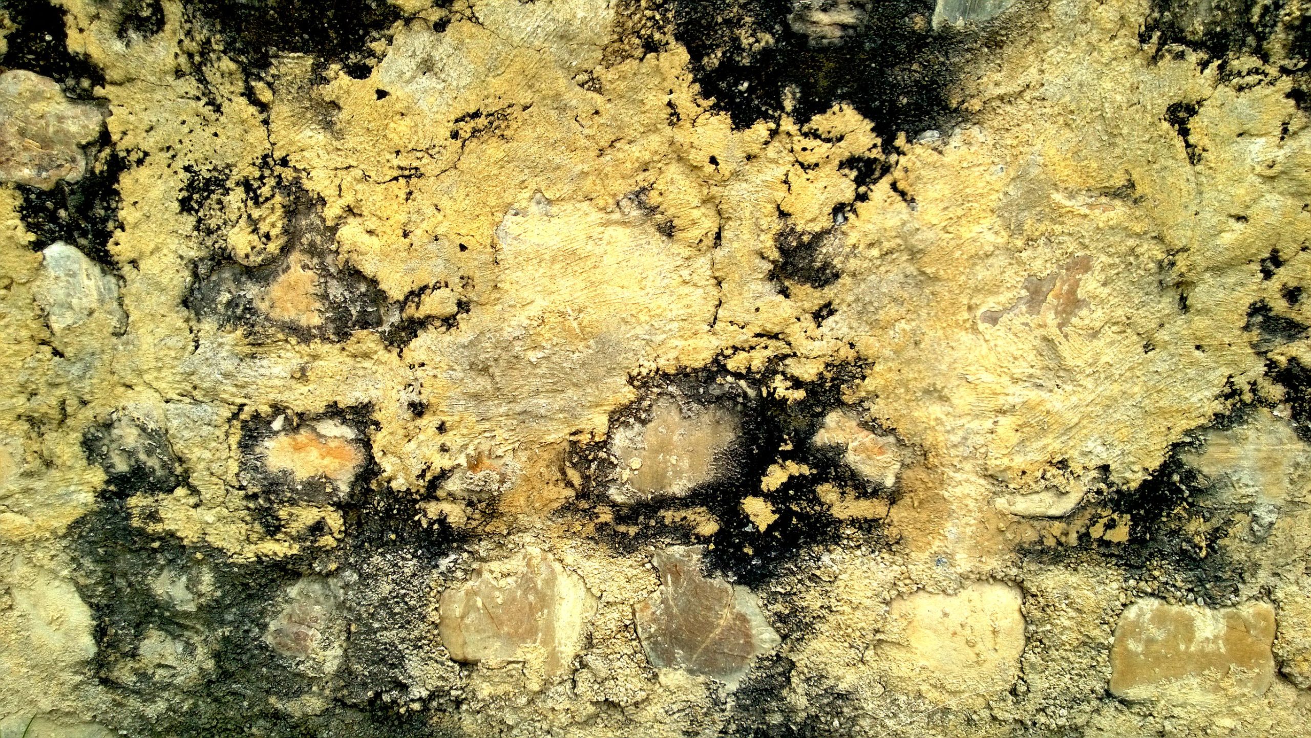 Fighting Mold Damage Remediation in Omaha, NE: A Comprehensive Guide ...